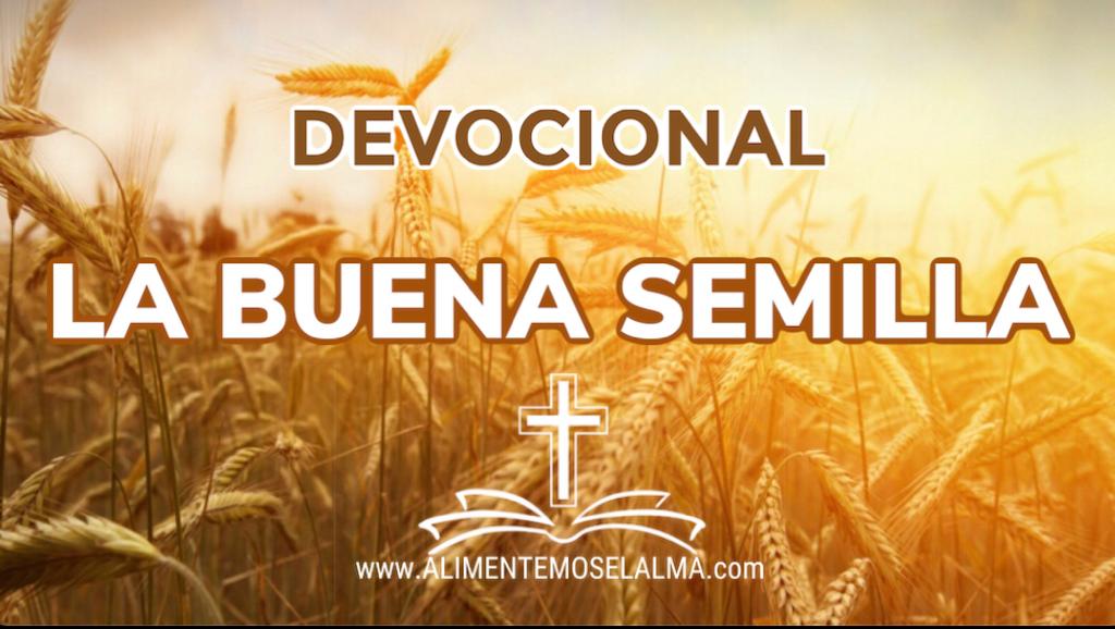 La marca de Plimsoll